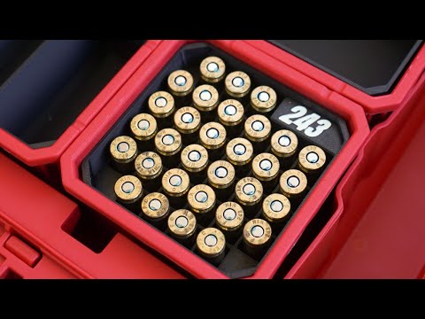 Ammo Insert STARTER PACK – Mintworx Tools